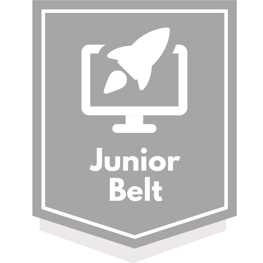 The Belt Program - iCode Redmond, WA