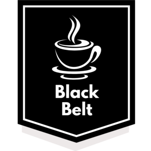 The Belt Program - iCode