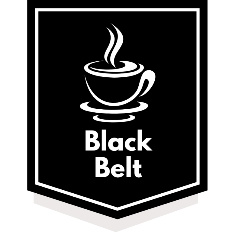 The Belt Program - iCode