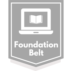 The Belt Program - iCode