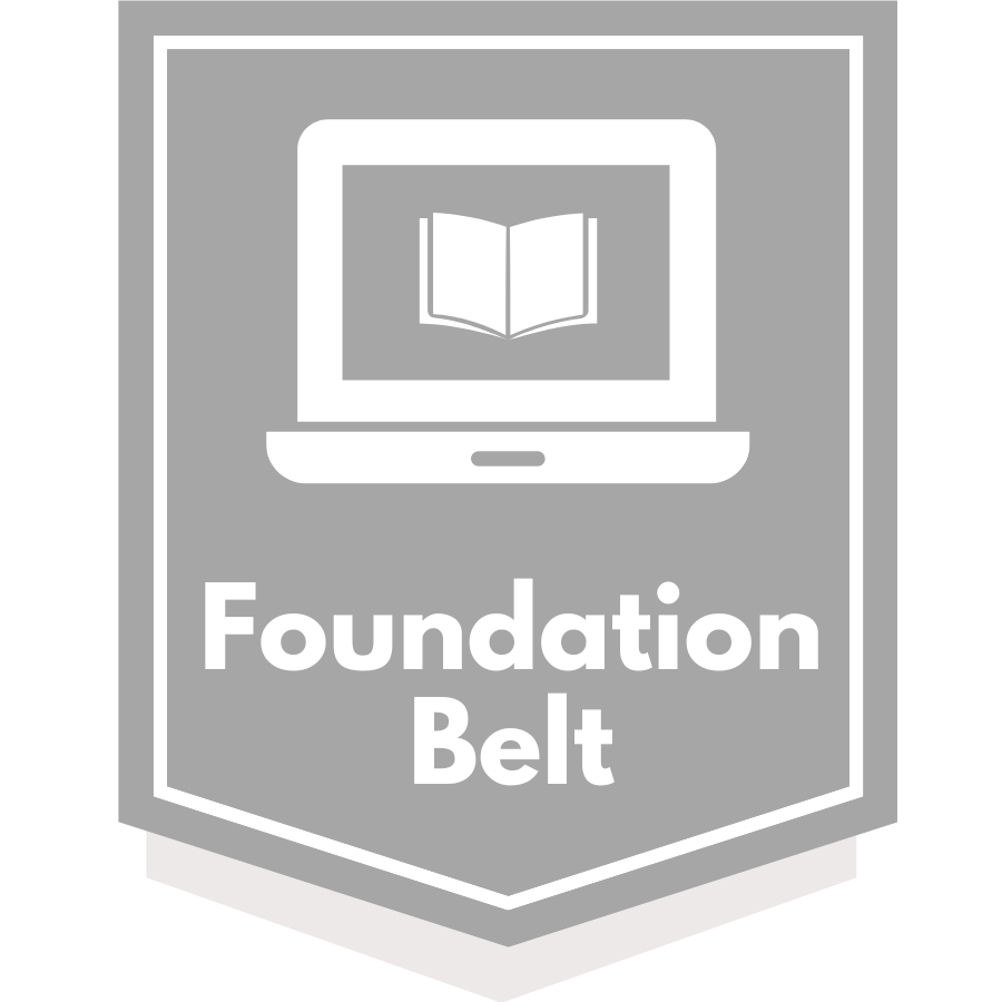 The Belt Program - iCode
