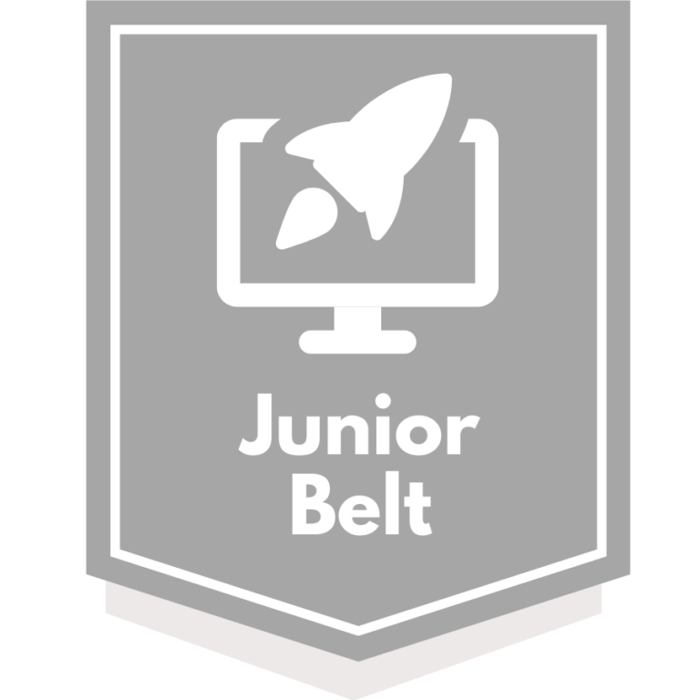 The Belt Program - iCode