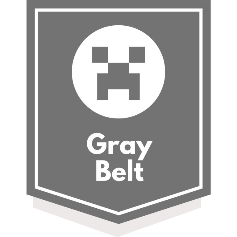 The Belt Program - iCode